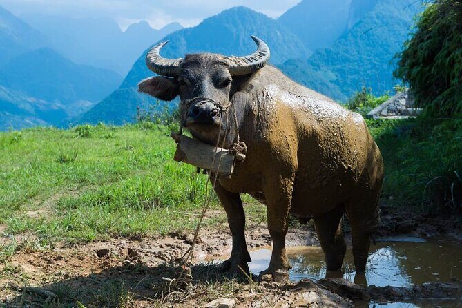 Folk Art Textile Workshop in Sapa - Who Should Consider This Tour?