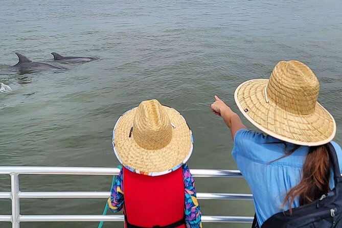 Folly Beach Dolphin Viewing Boat Excursion and Estuary Tour - Wildlife Encounters and Scenic Highlights