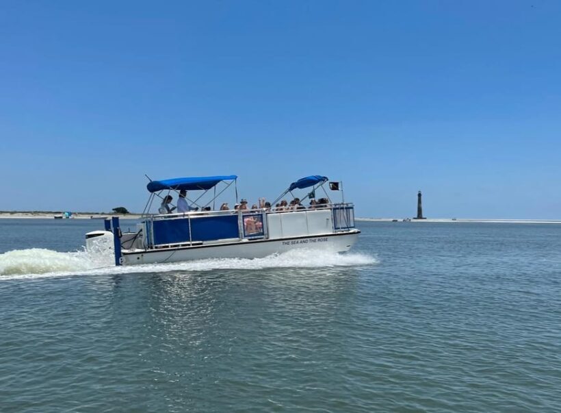 Folly Beach: Morning Dolphin Boat Trip to Morris Island - Final Thoughts