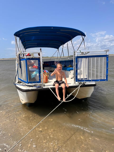 Folly Beach: Morning Dolphin Boat Trip to Morris Island - Who Will Love This Tour?