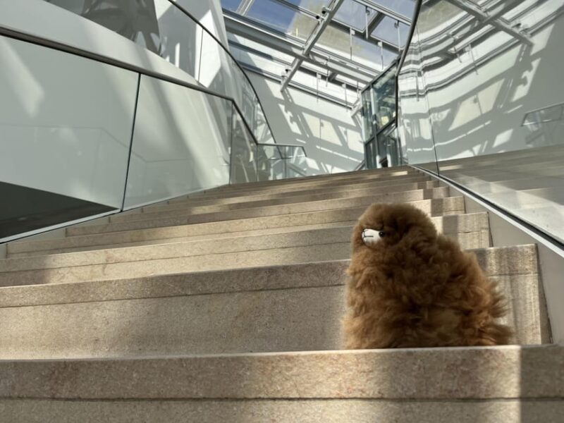Fondation Louis Vuitton: Ticket Entry & Private Tour - An In-Depth Look at the Tour Experience