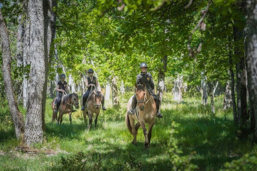 Fontainebleau : Horse-riding, Gastronomy & Château - Key Points