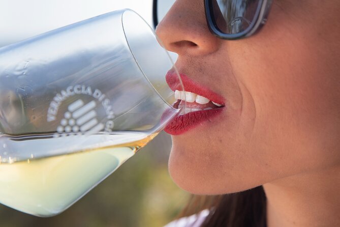 Food and Wine Lesson and Wine Tasting in San Gimignano - Traveler Reviews and Recommendations