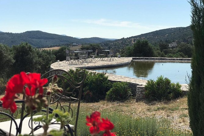 Food and Wine Pairing Dinner at Karnas Vineyards Bodrum - Seasonal Local Olive Oil, Jam, and Cheese