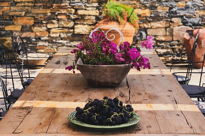 Food and Wine Pairing Dinner at Karnas Vineyards Bodrum - Convenient Transportation and Logistics