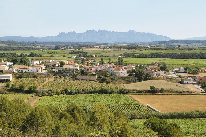 Food and Wine Small Group Tour From Barcelona - Maximum 8 People - Pricing and Availability