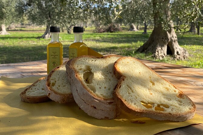 Food and Wine Tour Between the Patriarchs Olives and the Oil Temples - Highlights of the Tour Experience