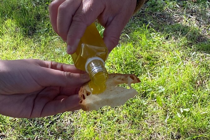 Food and Wine Tour Between the Patriarchs Olives and the Oil Temples - Traveler Reviews and Feedback
