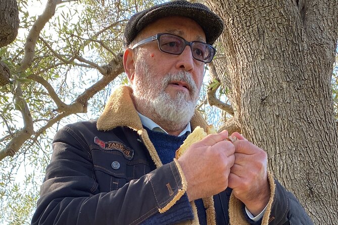 Food and Wine Tour Between the Patriarchs Olives and the Oil Temples - Booking and Cancellation Policies