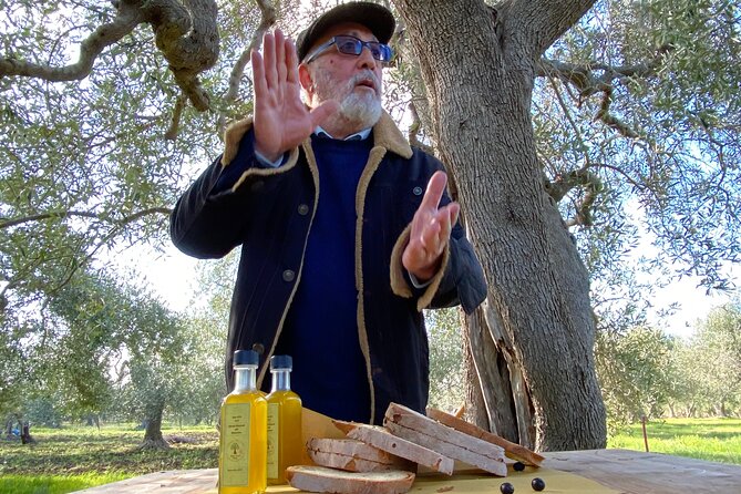 Food and Wine Tour Between the Patriarchs Olives and the Oil Temples - Exploring the Patriarchs Olives