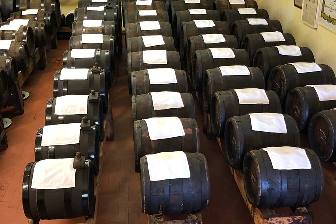 Food Excellences:Prosciutto, Parmigiano, Balsamic,Lunch,Transport - Why This Tour Offers Great Value