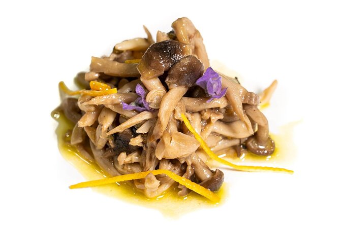 Food experience in mushroom cultivation (tour not included) - Real traveler insights