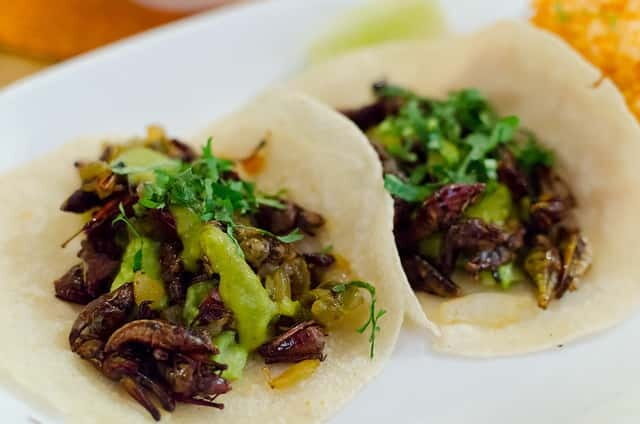 Food Hoppers 2.5-Hour Tour in Playa del Carmen - Discovering Playa del Carmen’s Local Flavors: A Review of the Food Hoppers Tour