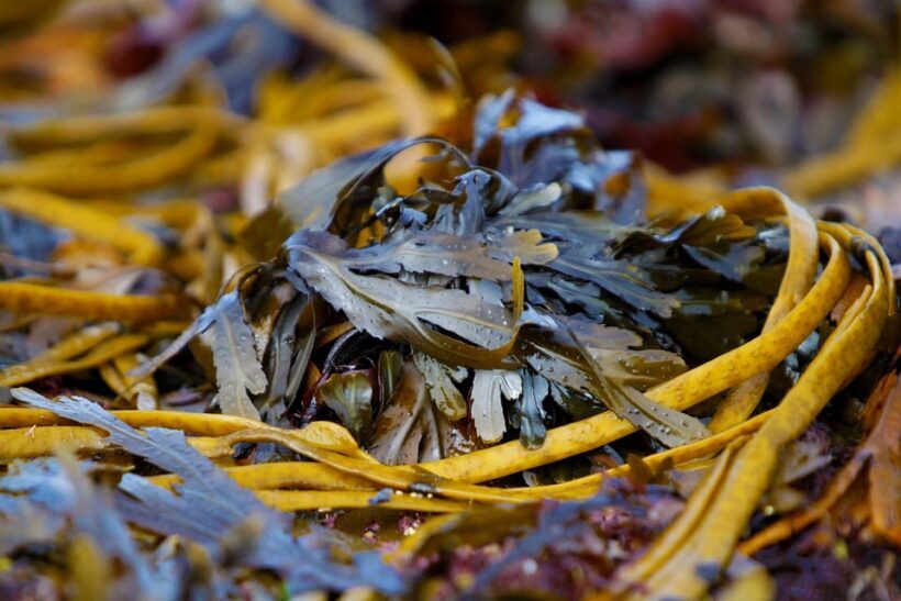 Food tasting & cultural tour Inishmore, Aran Islands.Private - An In-Depth Look at the Tour Experience