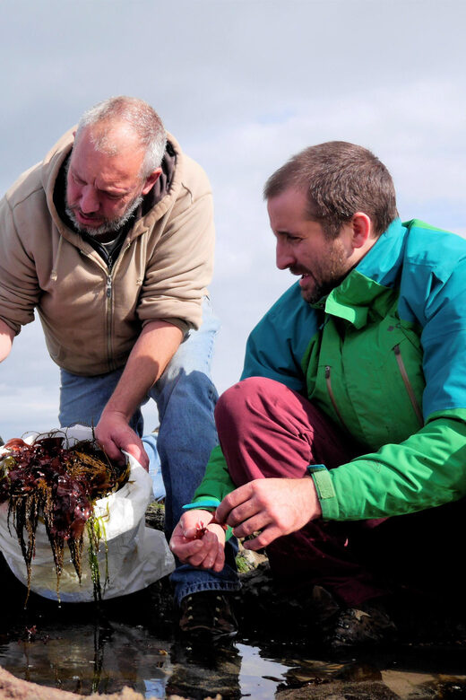 Food tasting & cultural tour Inishmore, Aran Islands.Private - Why This Tour Is a Great Choice