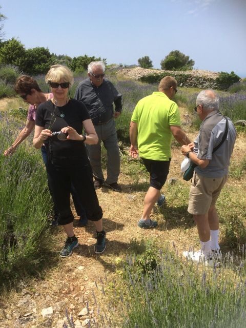 Food Tour: Traditional Flavours and Food Sampling on Hvar - A Deep Dive into the Hvar Food Tour Experience
