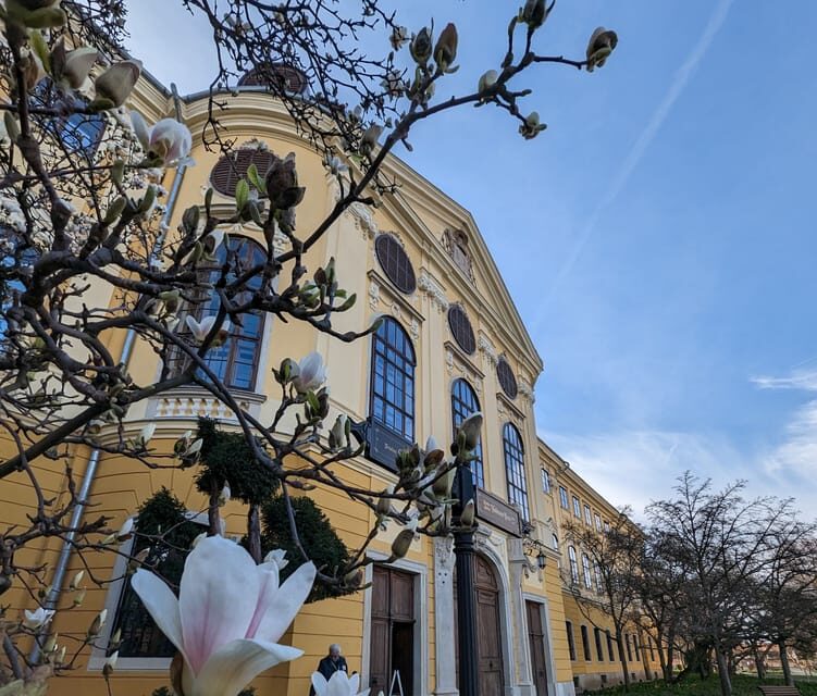 Food, Wine And Sightseeing Tour in Oradea, Romania - An In-Depth Look at the Tour Experience