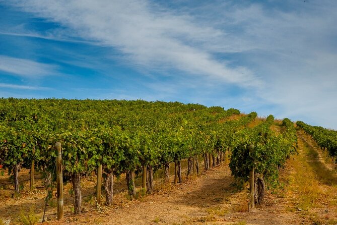 Food & Wine Tour: 11- Course Lunch, Cooking Class, Wine Tasting - Host and Service Quality