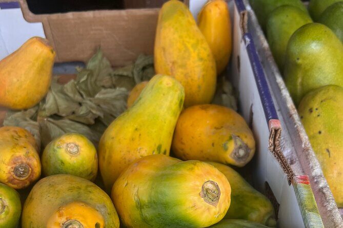 Foodie Tour City Highlights and Shopping - Who Should Consider This Tour?