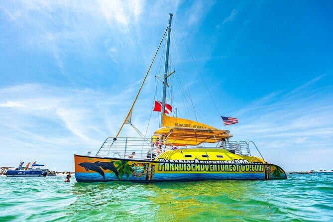 Footloose Catamaran Snorkel and Dolphin Watch Tour - Final Thoughts: Is This Tour Worth It?