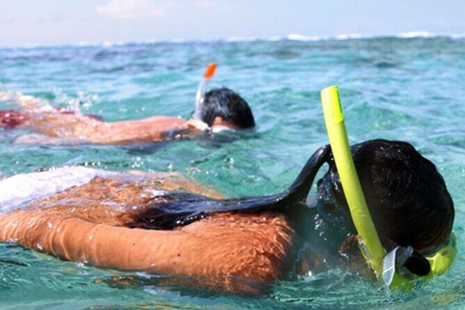 Footloose Catamaran Snorkel and Dolphin Watch Tour - Frequently Asked Questions