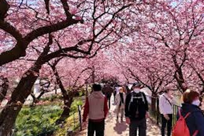For a Limited Time, Hakone & Cherry Festival Kawazu 2-12 Guests - Inclusions