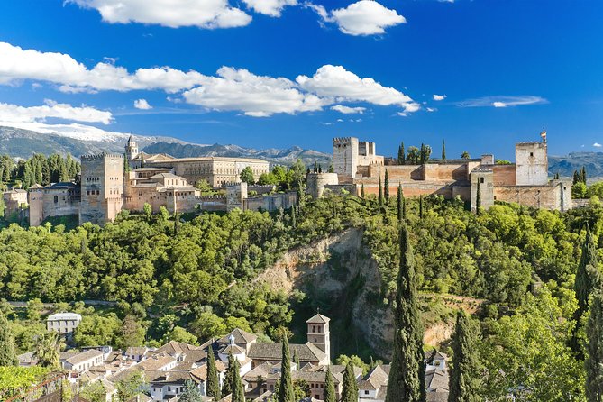 For Cruise Passengers ONLY: Granada and Alhambra From Malaga Port - Important Information and Accessibility