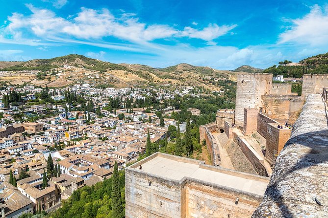 For Cruise Passengers ONLY: Granada and Alhambra From Malaga Port - Traveler Reviews and Feedback
