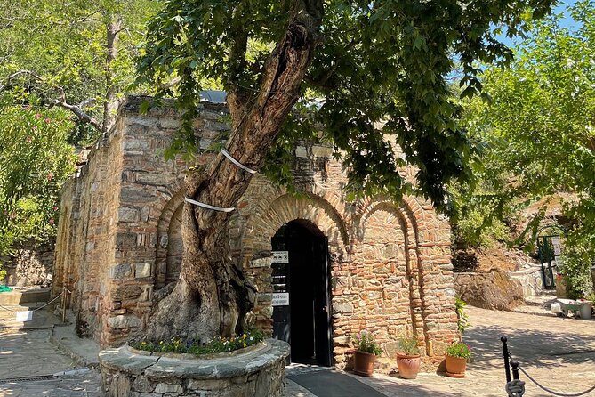 FOR CRUISERS: Best of Ephesus Tour with GUARANTEED ON-TIME RETURN - What Travelers Say