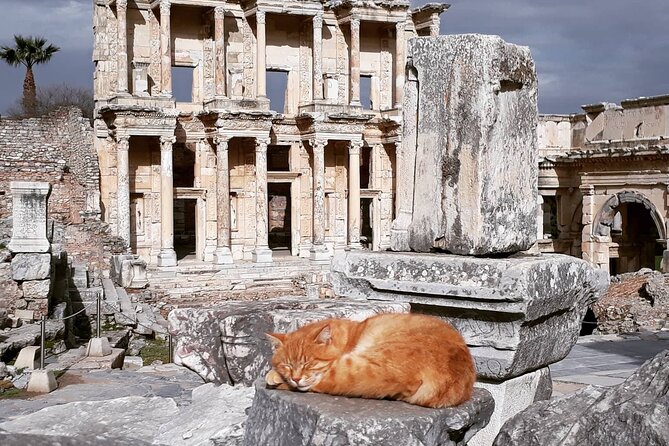 FOR CRUISERS Ephesus Tour WITH ENTRY TICKETS (Private or Group) - Booking Your Ephesus Tour