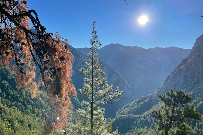 For the Wild Ones: White Mountains & Samaria Gorge Sightseeing - The Sum Up