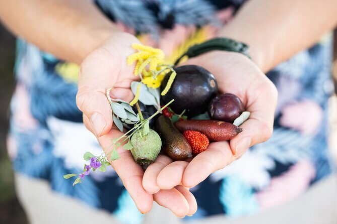 Foraging Food Tour Sydney Native Aussie Food - Who Would Love This Tour?
