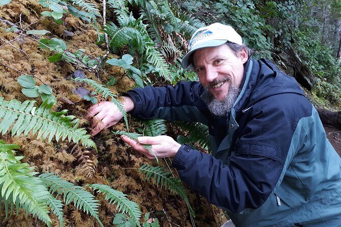 Foraging Tour of Edible Plants and Mushrooms in Brinnon - Foraging Tour of Edible Plants and Mushrooms in Brinnon: An In-Depth Review