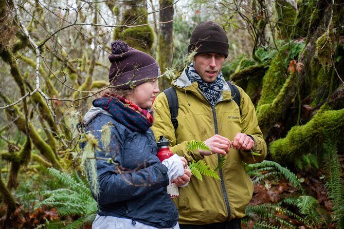 Foraging Tour of Edible Plants and Mushrooms in Brinnon - Who Would Enjoy This Tour?