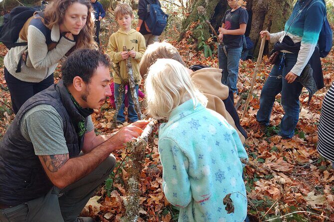Foraging Tour of Edible Plants and Mushrooms in Brinnon - The Sum Up: Is It Worth It?
