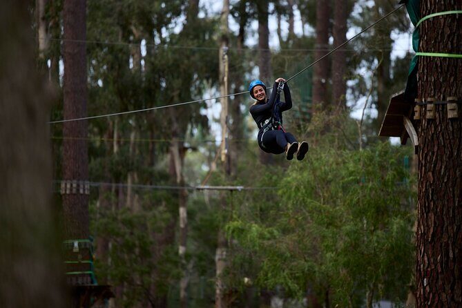Forest Adventures - Key Points
