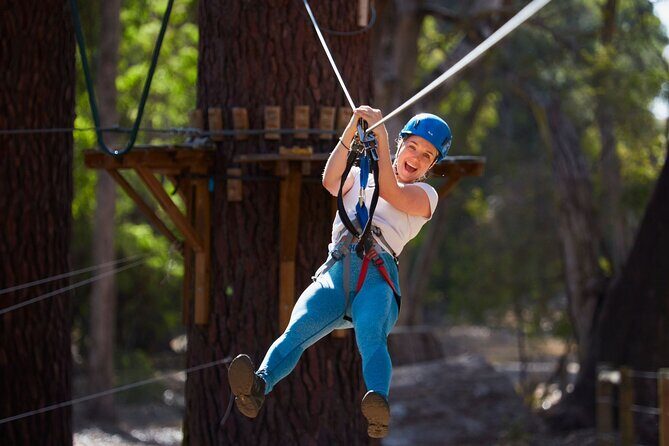 Forest Adventures - The Experience from Start to Finish