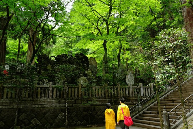 Forest Bathing in Temple and Enjoy Onsen With Healing Power - Meeting Point and Transportation