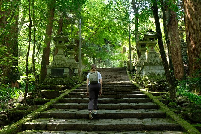 Forest Bathing in Temple and Enjoy Onsen With Healing Power - Rejuvenating at the Onsen