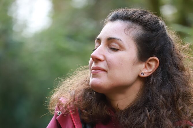 Forest Bathing in Tuscany with Wild Crafted Tea - Key Points