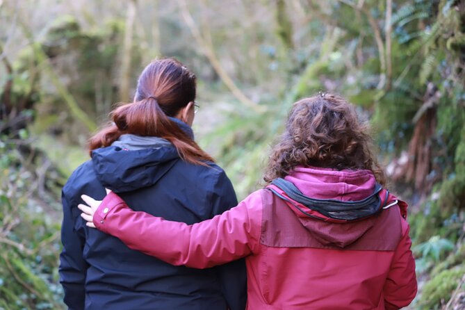 Forest Bathing in Tuscany with Wild Crafted Tea - Real Traveler Feedback and Authentic Insights