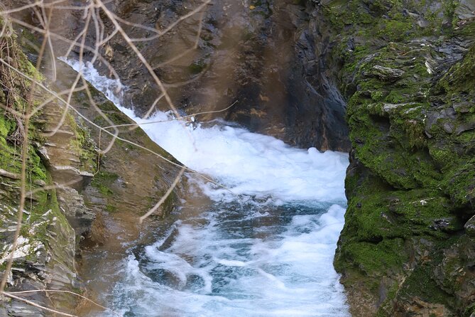 Forest Bathing in Tuscany with Wild Crafted Tea - FAQ