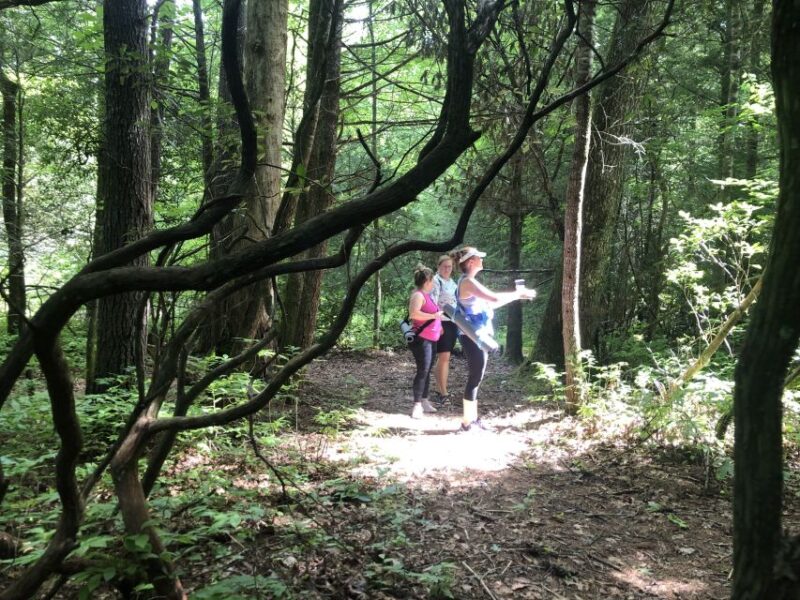 Forest Bathing & Nature Therapy Mini-Retreat - Practical Considerations