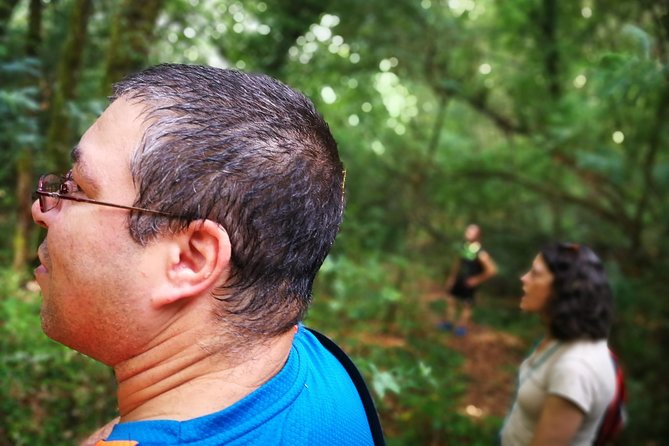 Forest Baths - Shinrin Yoku Therapeutic, in Celtic sacred forests - Potential Drawbacks and Considerations