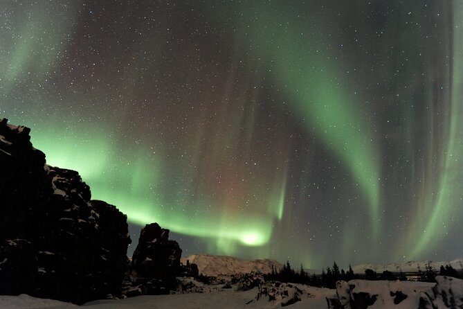 Forest Lagoon and Northern Lights Guided Night Tour - The Itinerary in Detail