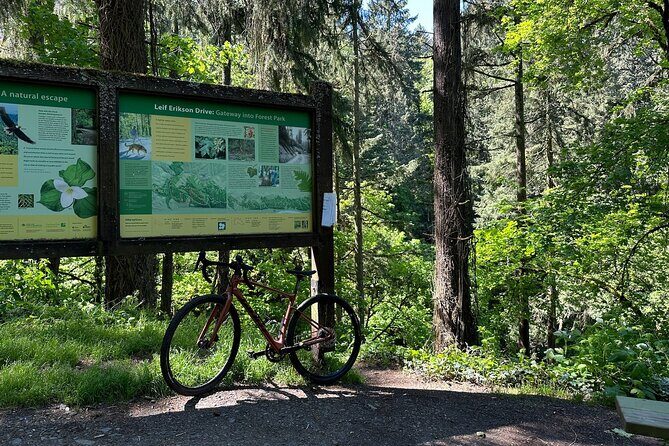 Forest Park Carbon Gravel Bike and E-Bike Tour - Who Should Consider This Tour?