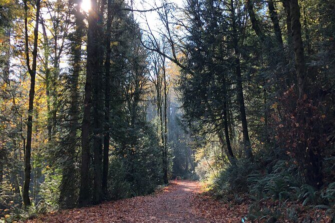 Forest Park Carbon Gravel Bike and E-Bike Tour - FAQ