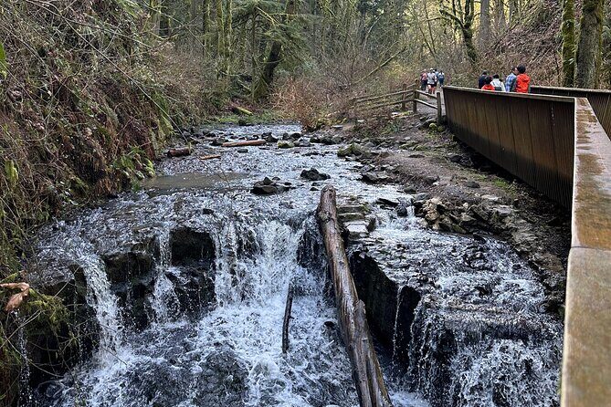 Forest Park Hiking Tour to Pittock Mansion - Why This Tour Works for Portland Visitors