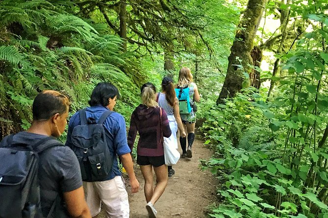 Forest Park Urban Hiking Tour, Portland - Highlights of the Hiking Route