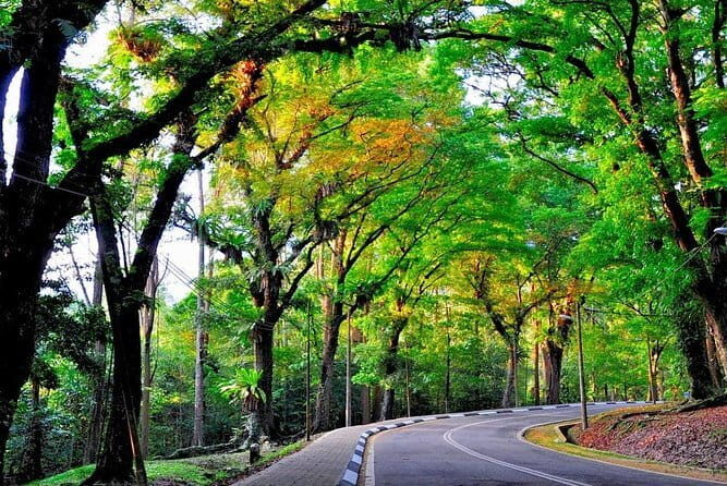 Forest Research Institute Malaysia (FRIM) Nature Trekking Tour - Practical Details: What to Expect and Tips